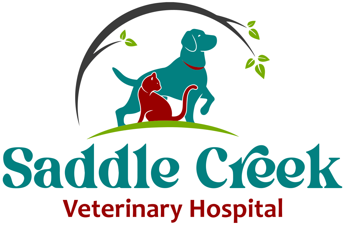 Vet Near Me 33801 - Saddle Creek Veterinary Hospital - Lakeland, FL